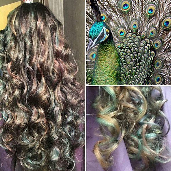 Peacock Hair Color Trend Popsugar Beauty