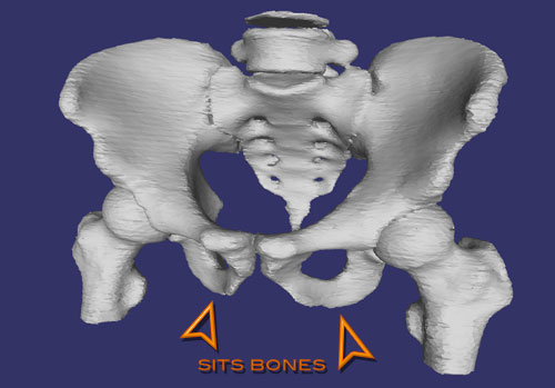 Sit Bones POPSUGAR Fitness sit-bones-popsugar-fitness