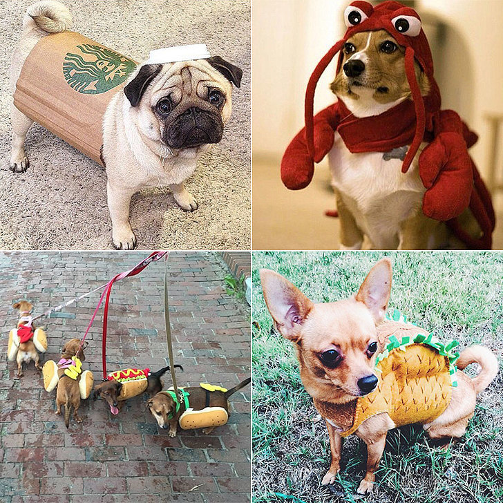 Food Halloween Costume Ideas