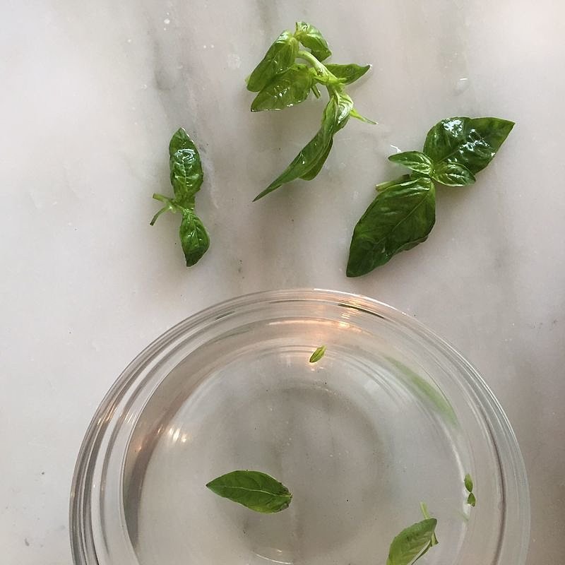 How to Bring Back Wilted Herbs | POPSUGAR Food