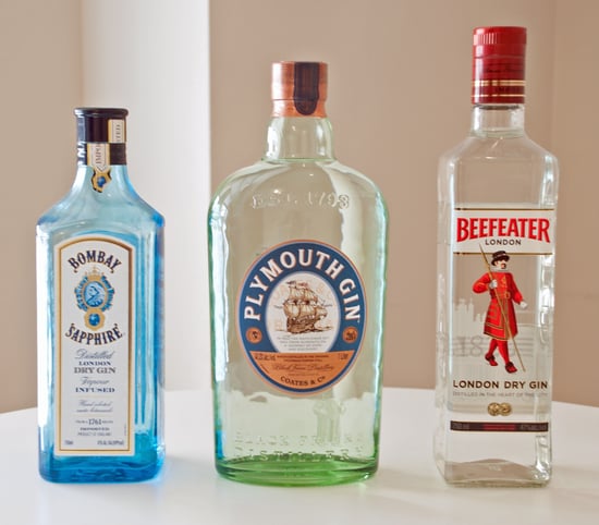 Types of Gin | POPSUGAR Food