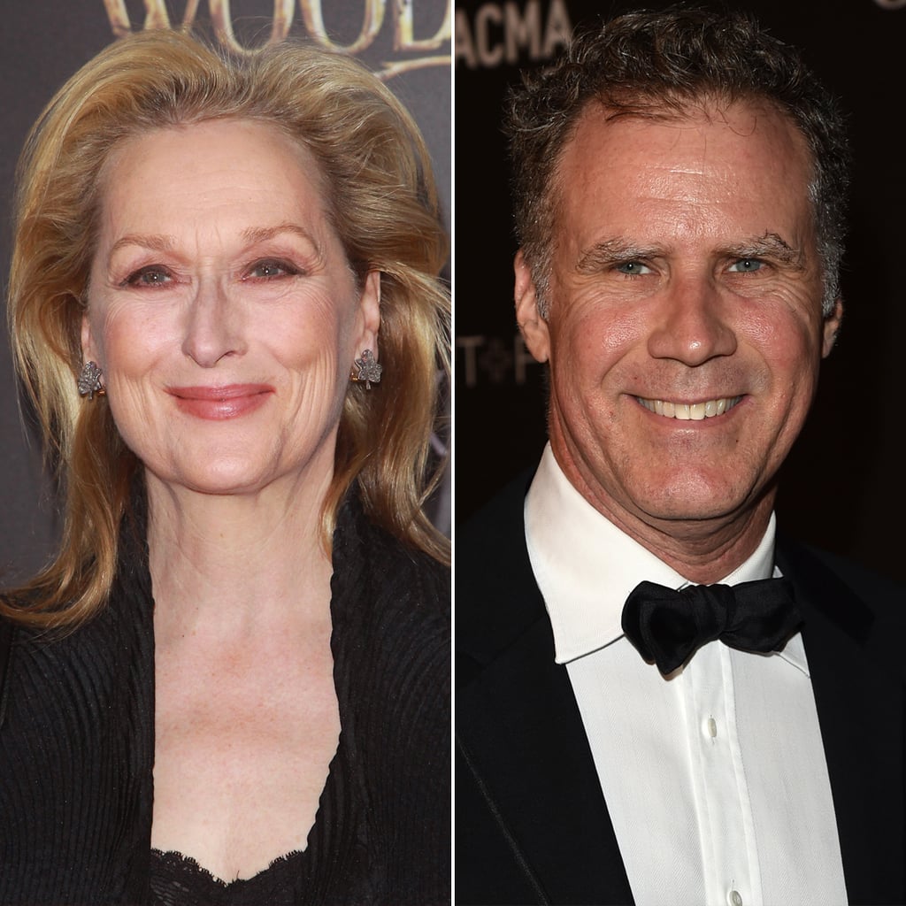 Meryl Streep Says She Has a Crush on Will Ferrell | POPSUGAR Celebrity